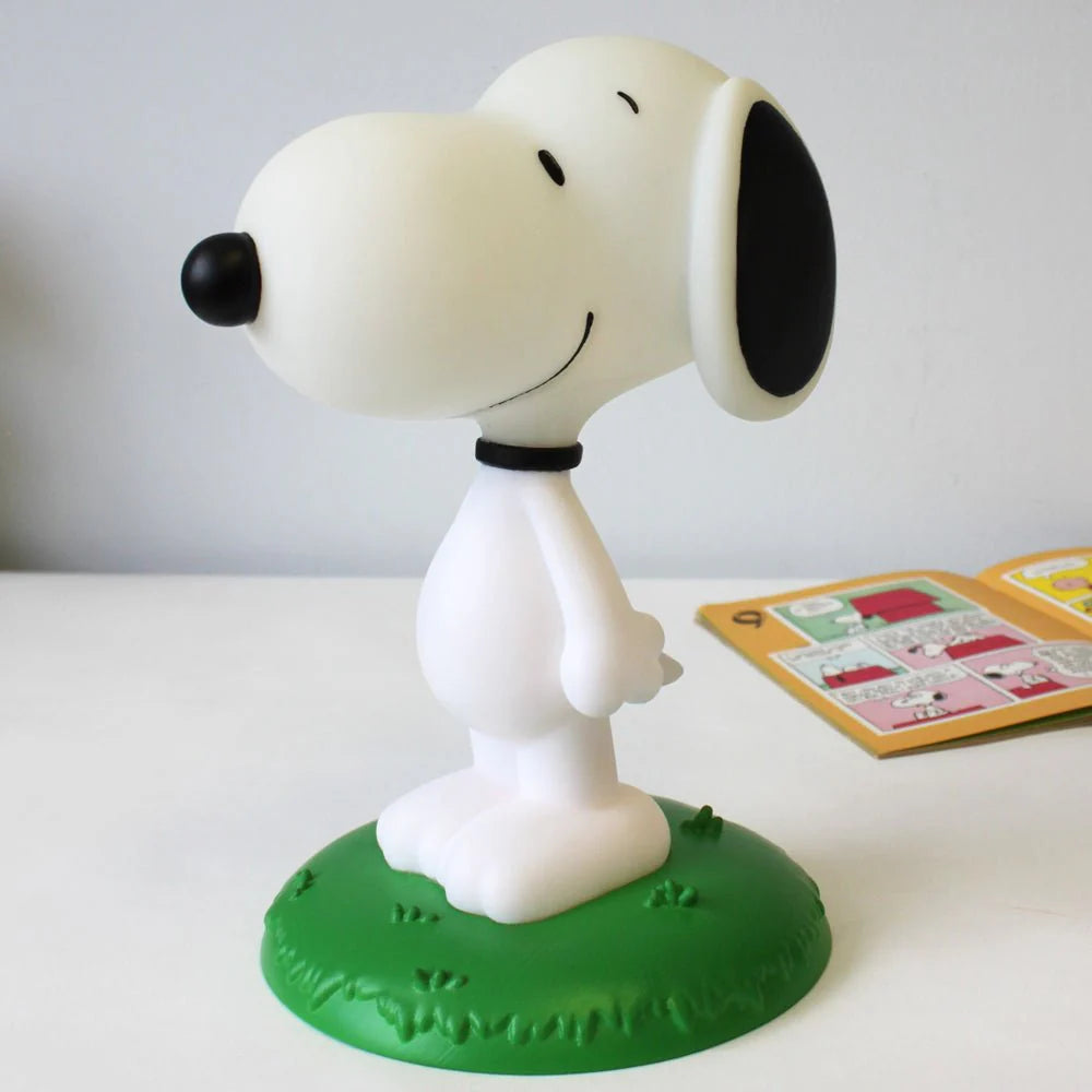 Peanuts - Accessories & Lifestyle Gifts – House of Disaster
